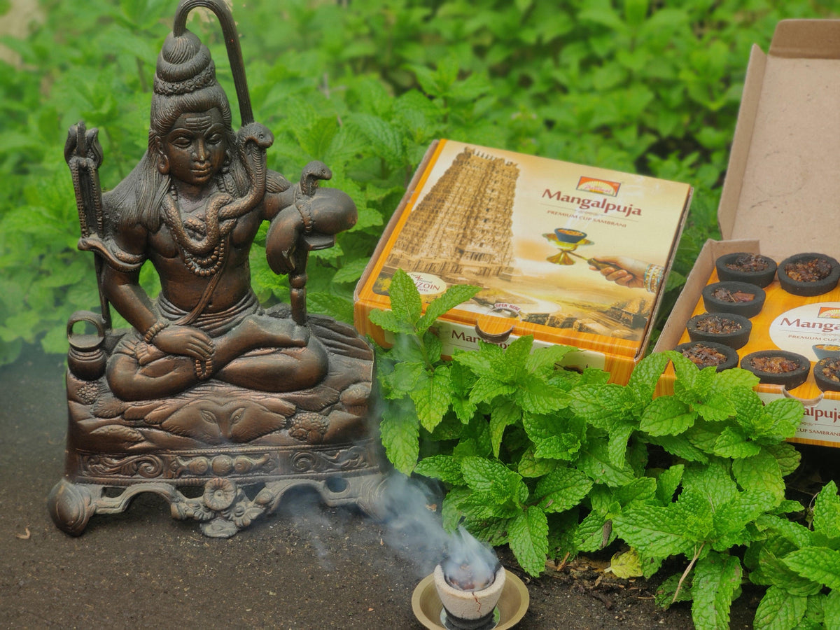 Premium Benzoin Resin | Naathi Aromatherapy